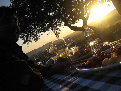 Anti-Snob Wine Appreciation: 7 Tips from Sonoma - The Blog of Author ...