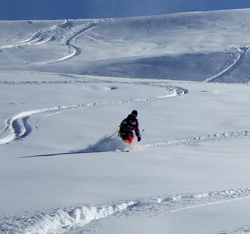 How to Ski Powder - 15 Tips for Learning in 24 Hours - The Blog of ...